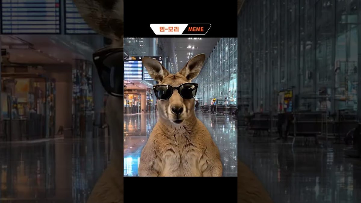 [밈-모리 1편] 캥빠른 HBM;TSV 보러가다! – SK hynix Newsroom